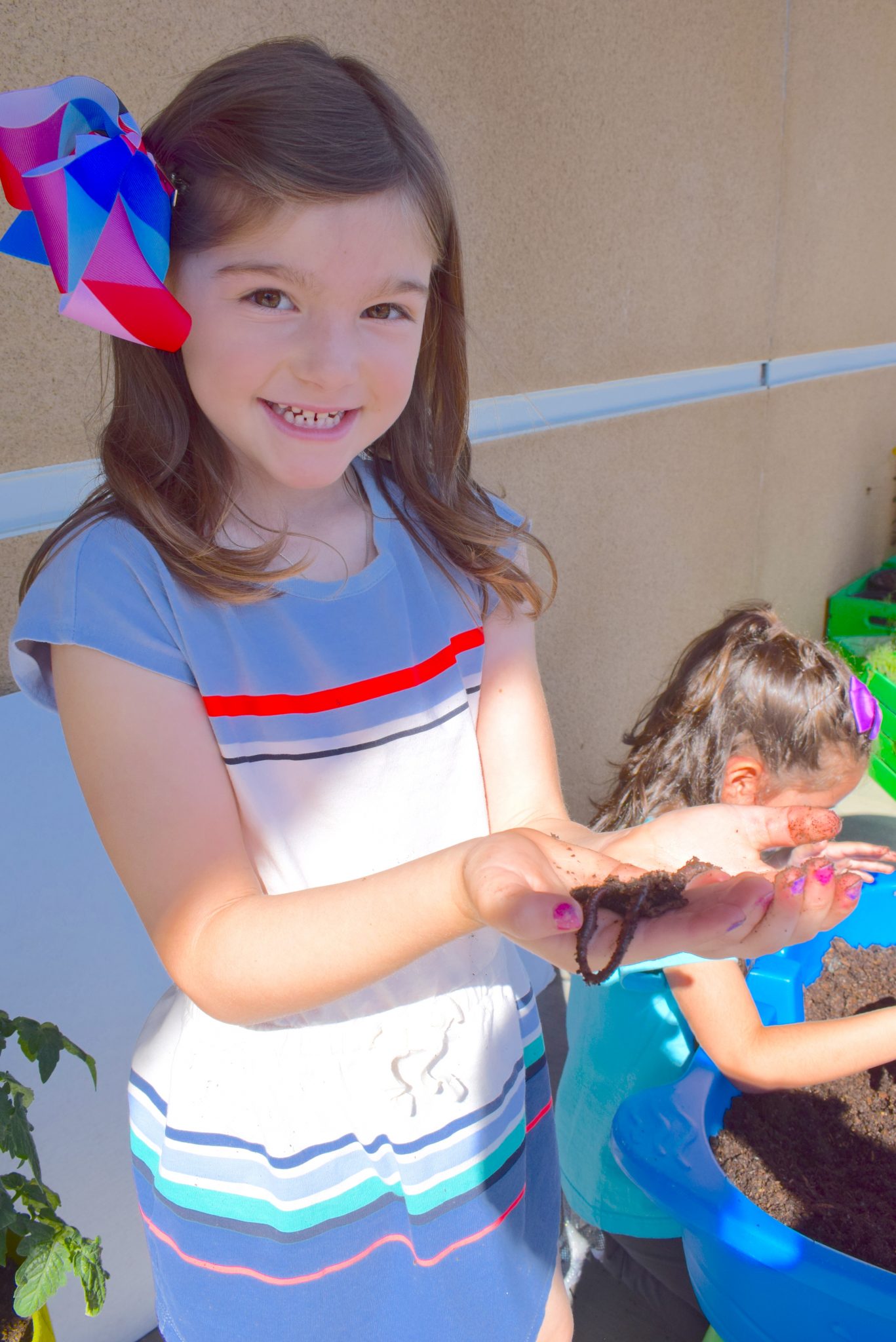 Friends Christian Preschool Celebrates All Things New and Beautiful ...